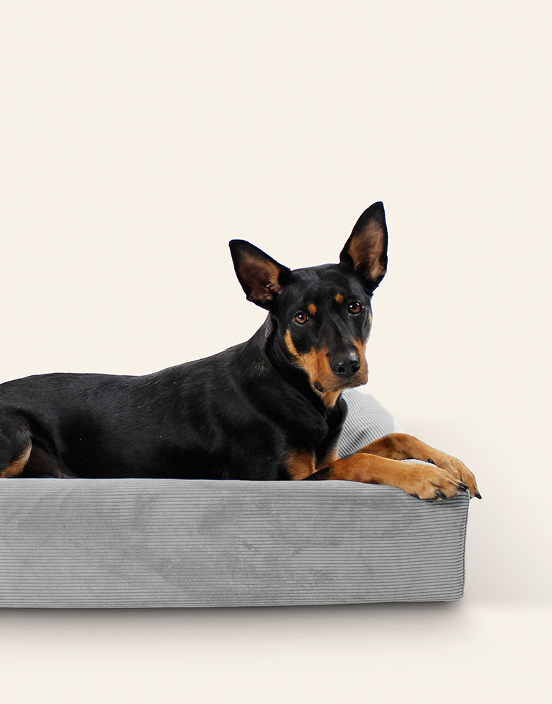 Bia Rib Cover - Bia Bed EU